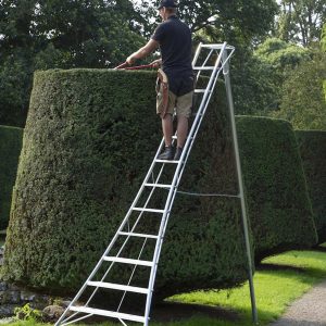 Orchard Ladders – Orchard Ladders